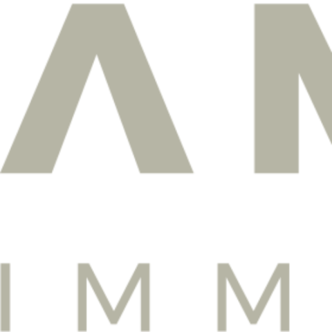 cropped-amboss_logo_transparent.png | AMBOSS Immobilien AG